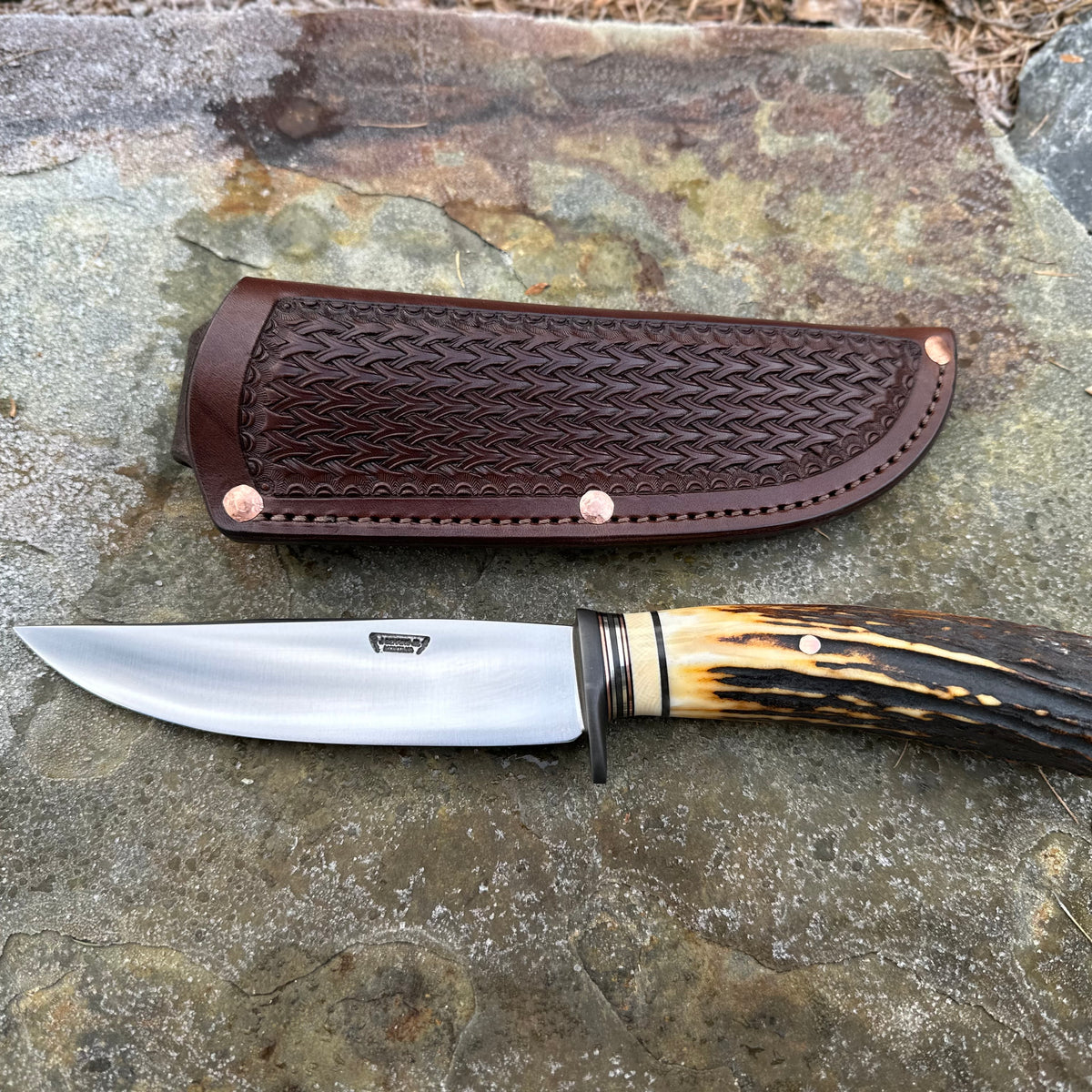 Sambar Stag & Mammoth XL Trout & Bird – Behring Made