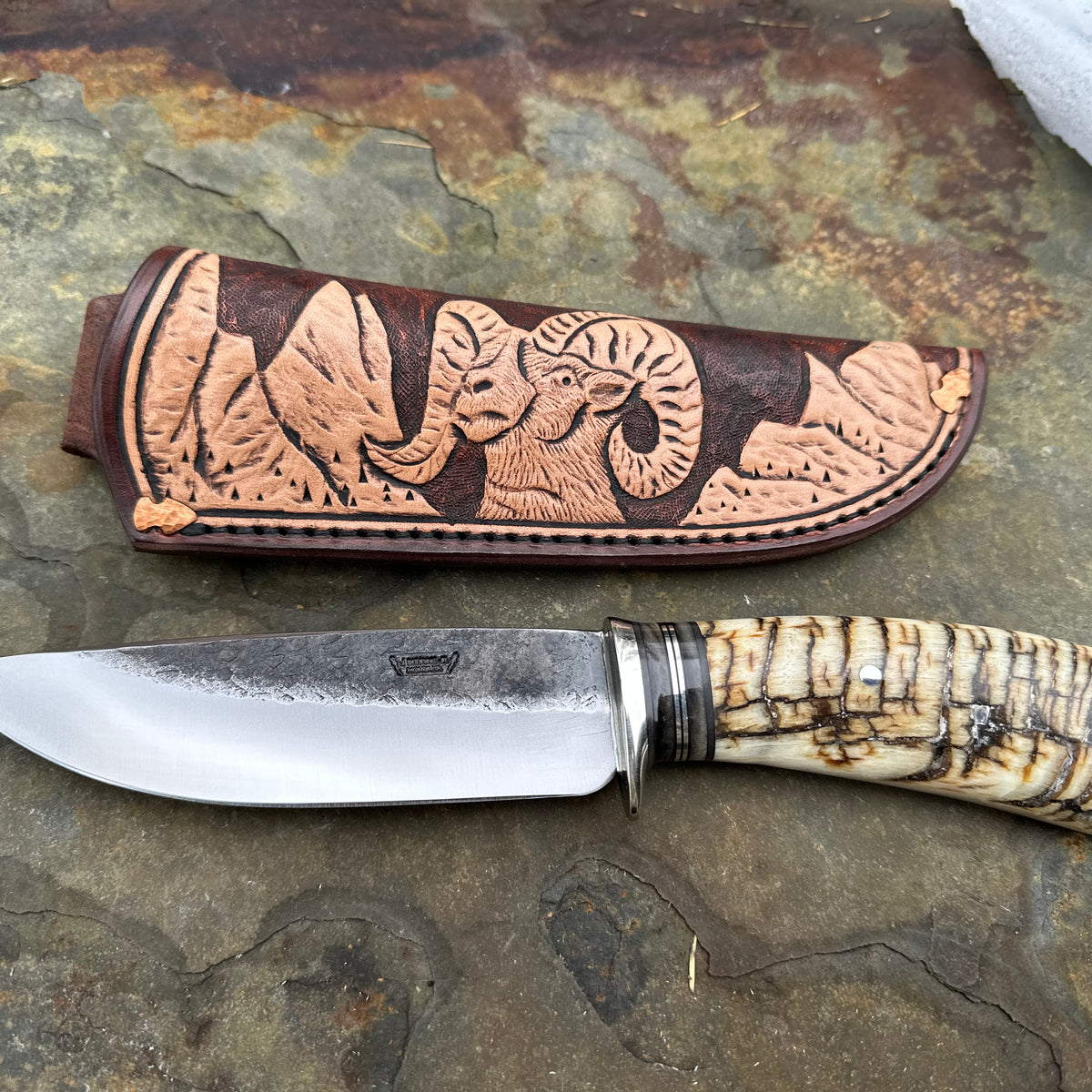 Big Horn Sheep Drop Point w/ Mudbone Big Horn Pouch Sheath – Behring Made