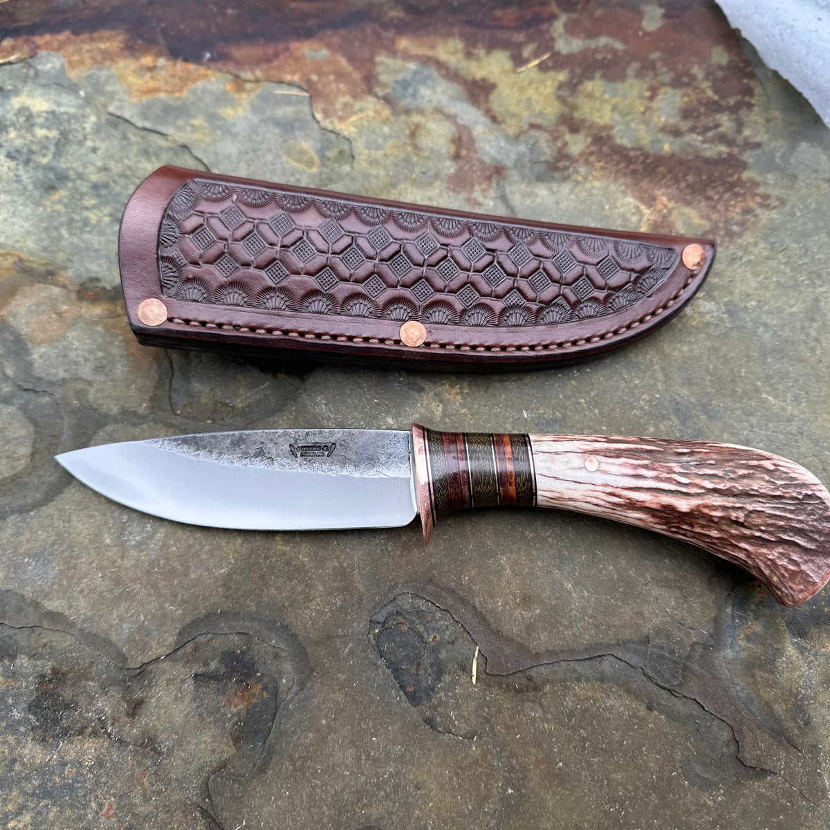 Moose Antler Pocket Drop Point – Behring Made