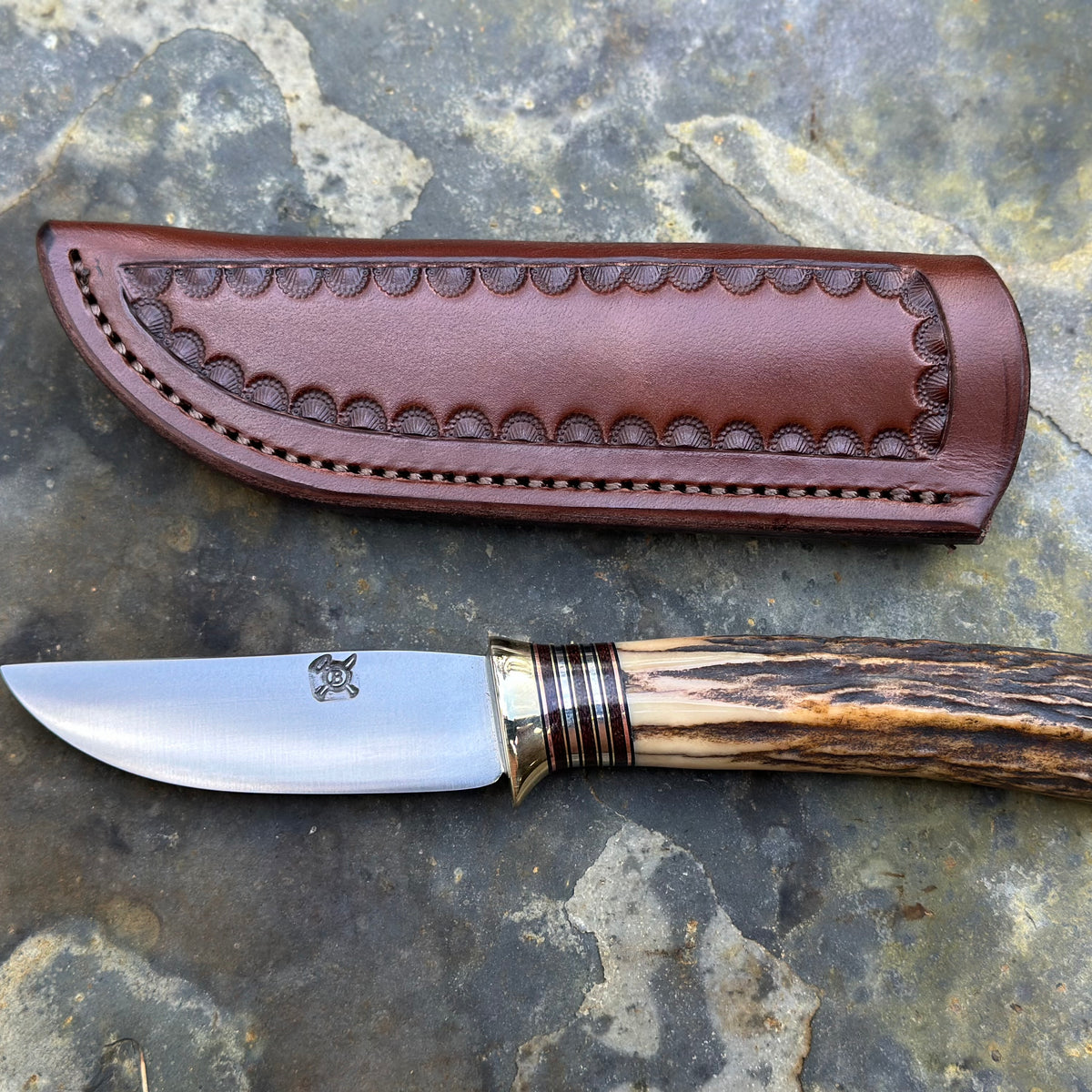 Sambar Stag Pocket Hunter – Behring Made