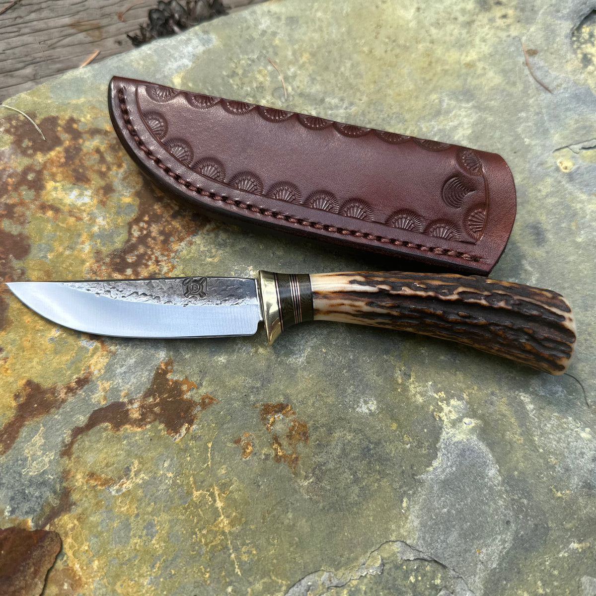 Sambar Stag Pocket Trout & Bird – Behring Made