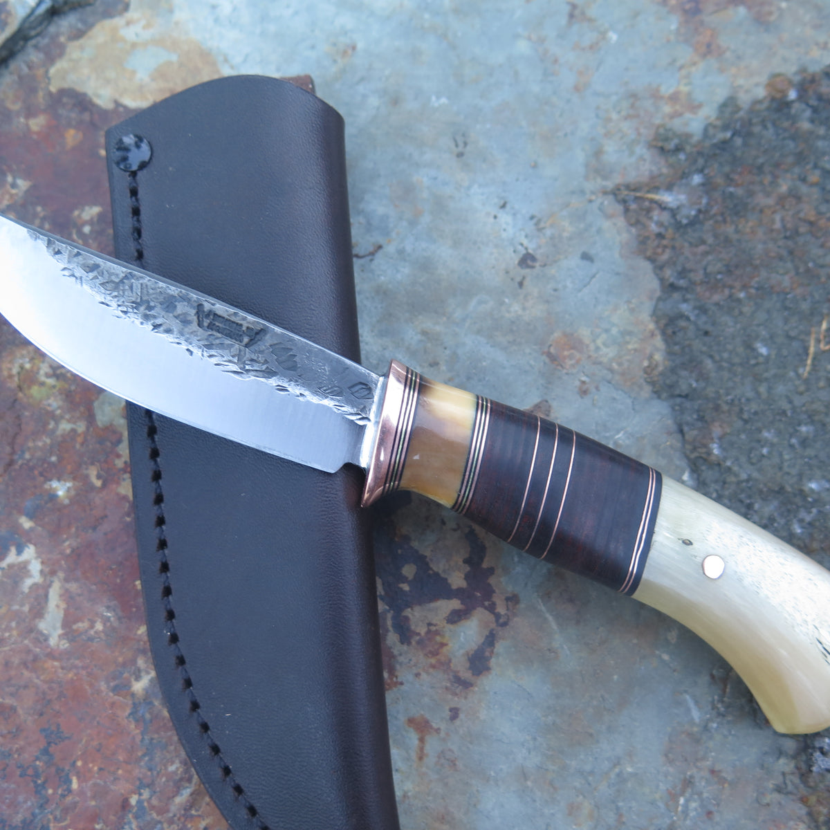 Dall's Sheep, Fossil Walrus and Horsehide Pintail – Behring Made