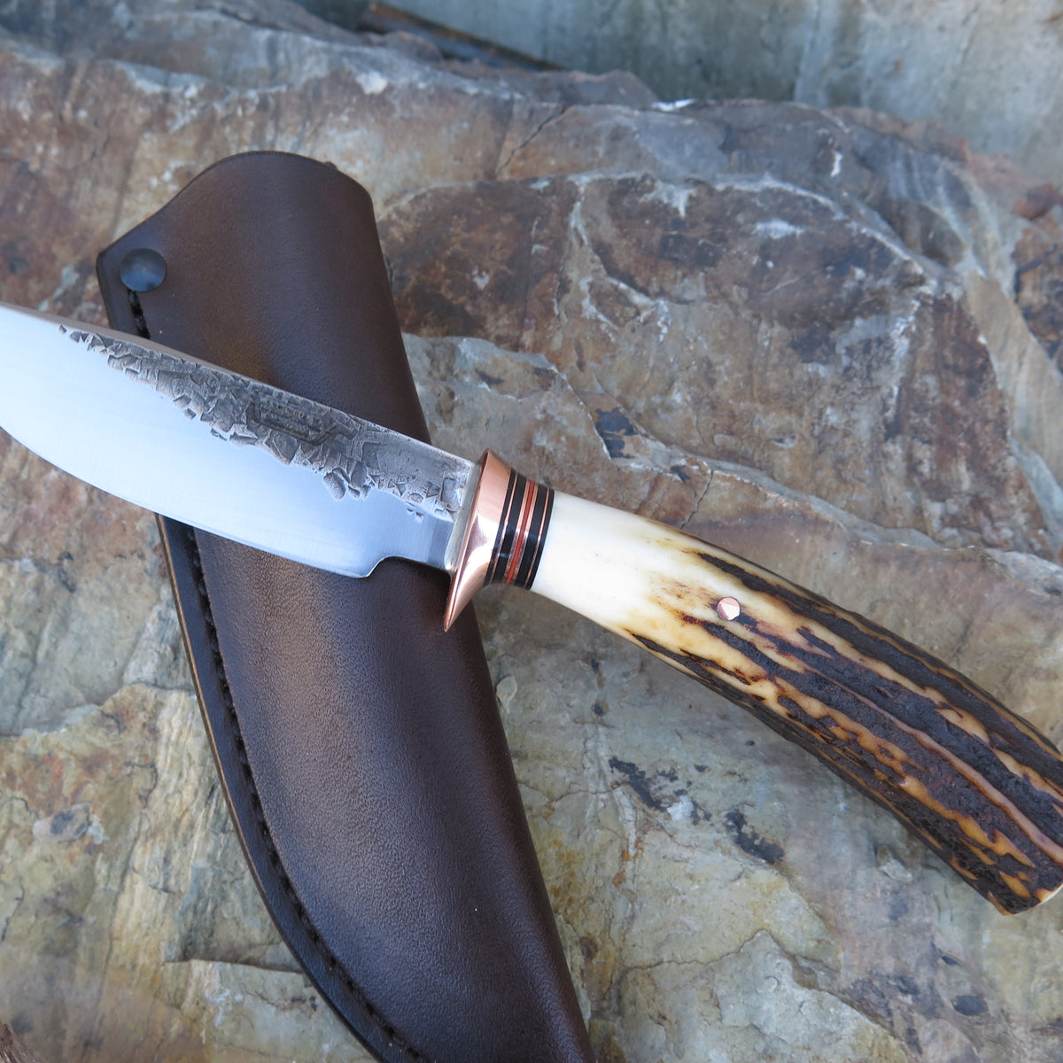 Premium Sambar Stag Clip Drop Point – Behring Made