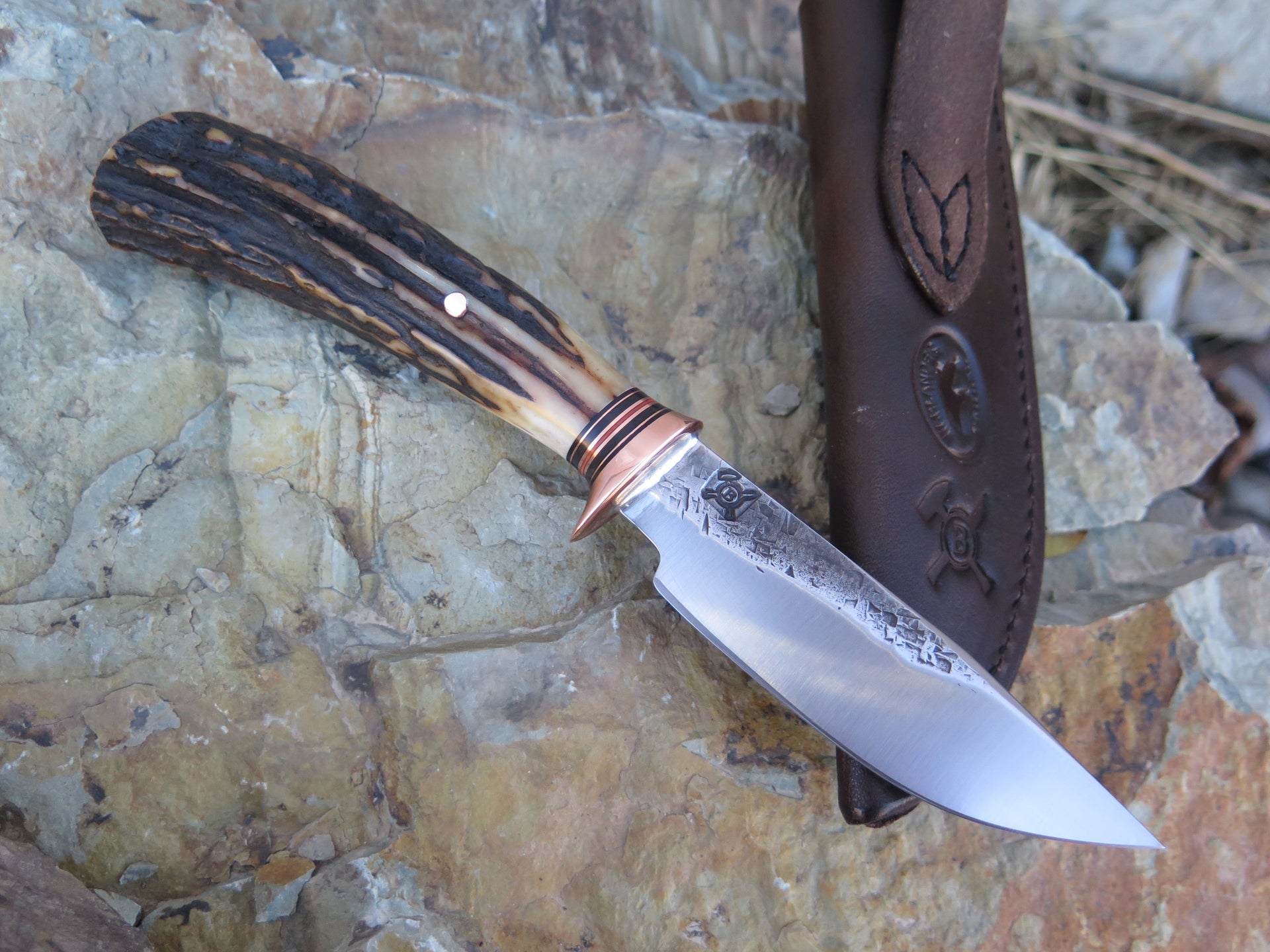 Premium Sambar Stag Clip Drop Point – Behring Made