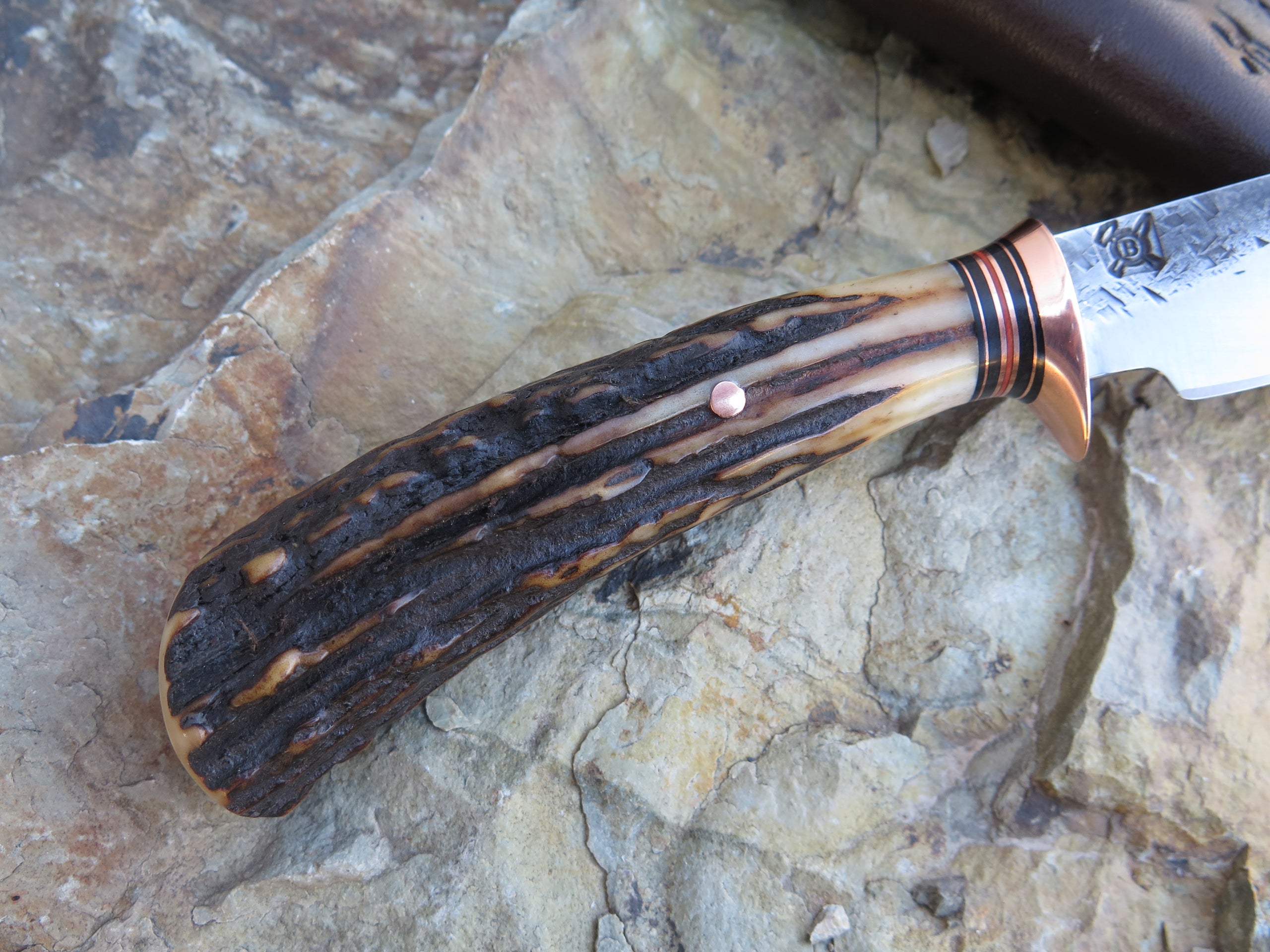 Premium Sambar Stag Clip Drop Point – Behring Made